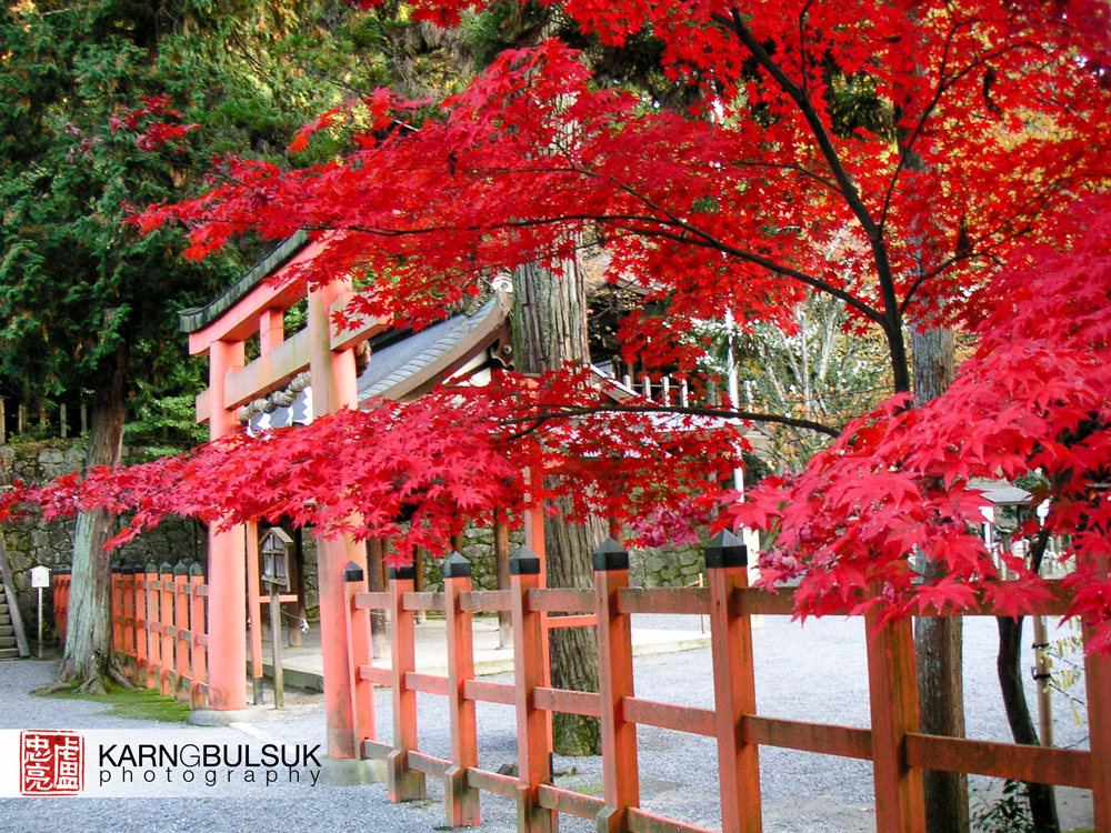 A Momiji Autumn at Yoshida Shrine | Photography | K Bulsuk: Full Speed ...