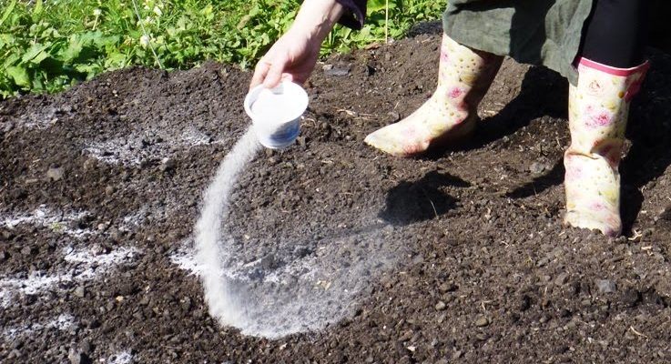 8 Manfaat Pupuk Kompos untuk Kesuburan Tanah Pertanian bagi Tanaman ...