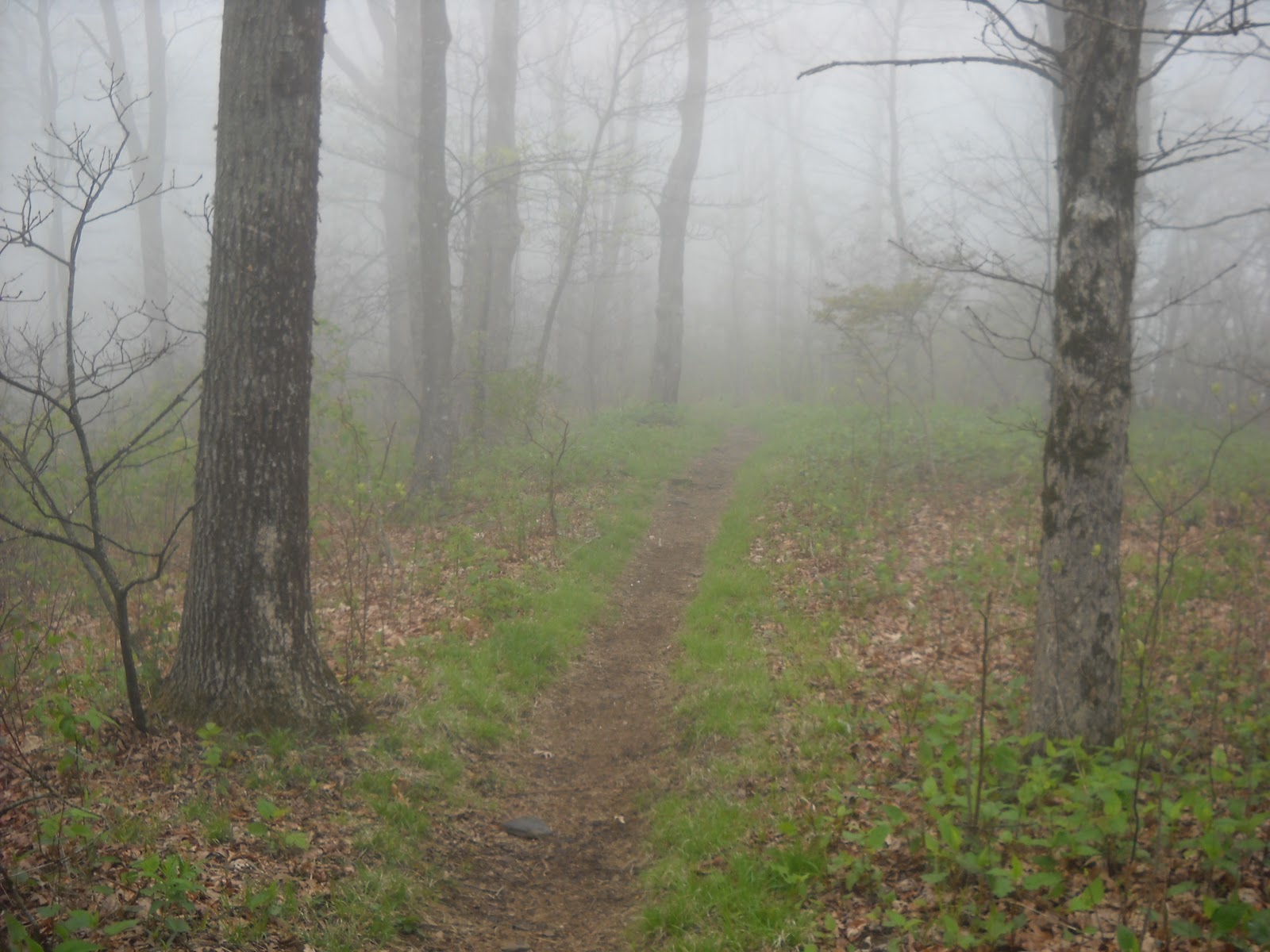 Travel in Retirement: Appalachian Trail - Hogpen Gap to Neels Gap