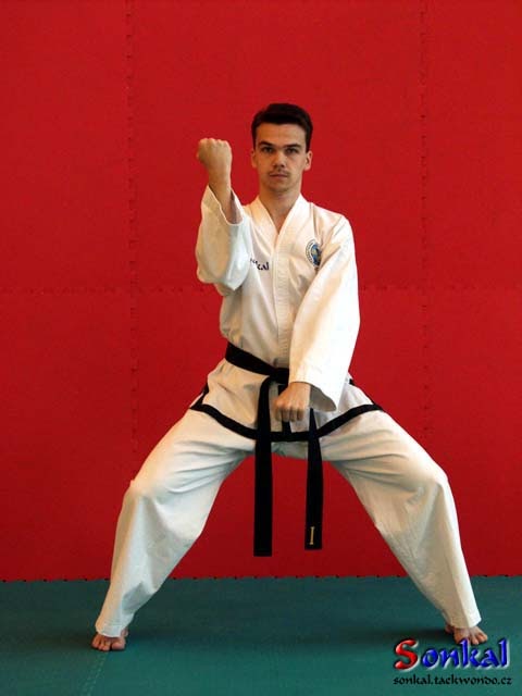 Soo Shim Kwan 水心館수심관: Blocking in ITF Taekwon-Do