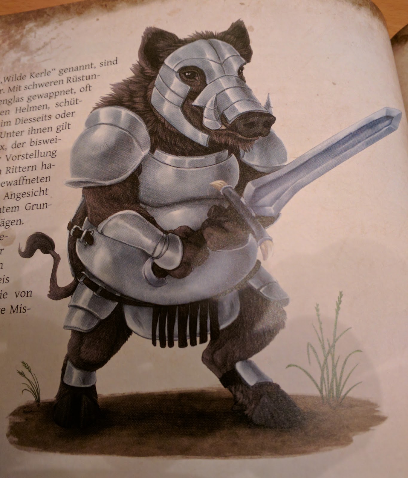 Rezension: Die Siebenwindküste - Albernia und der Windhag