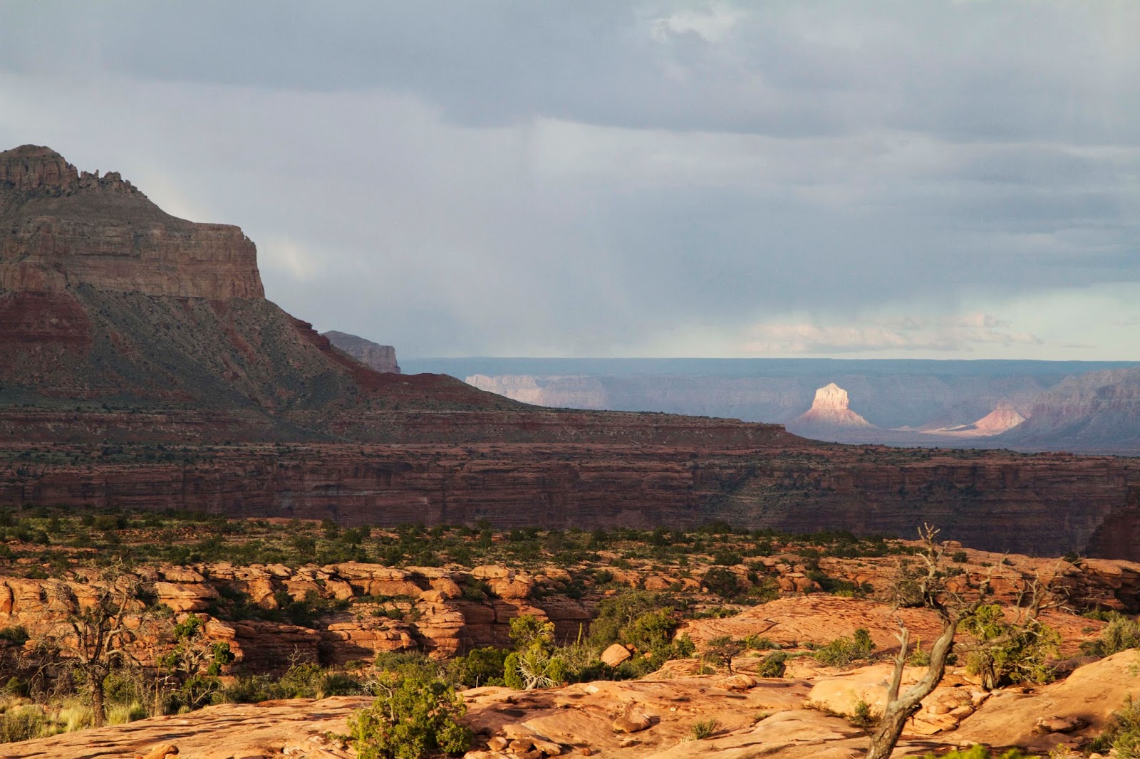 Running From Moose: The Arizona Strip: Toroweap and Nampaweap Rock Art Site