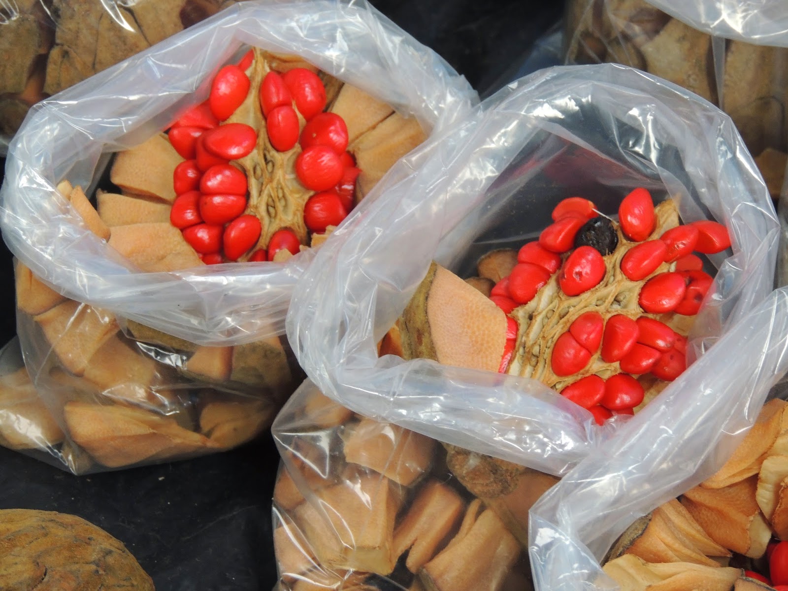 El cuexcomate: Mercado de plantas medicinales de Zongolica, Veracrúz