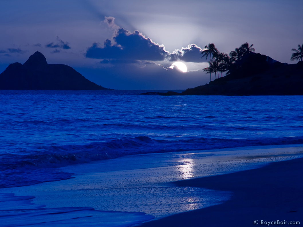 Moonlit Starry Night