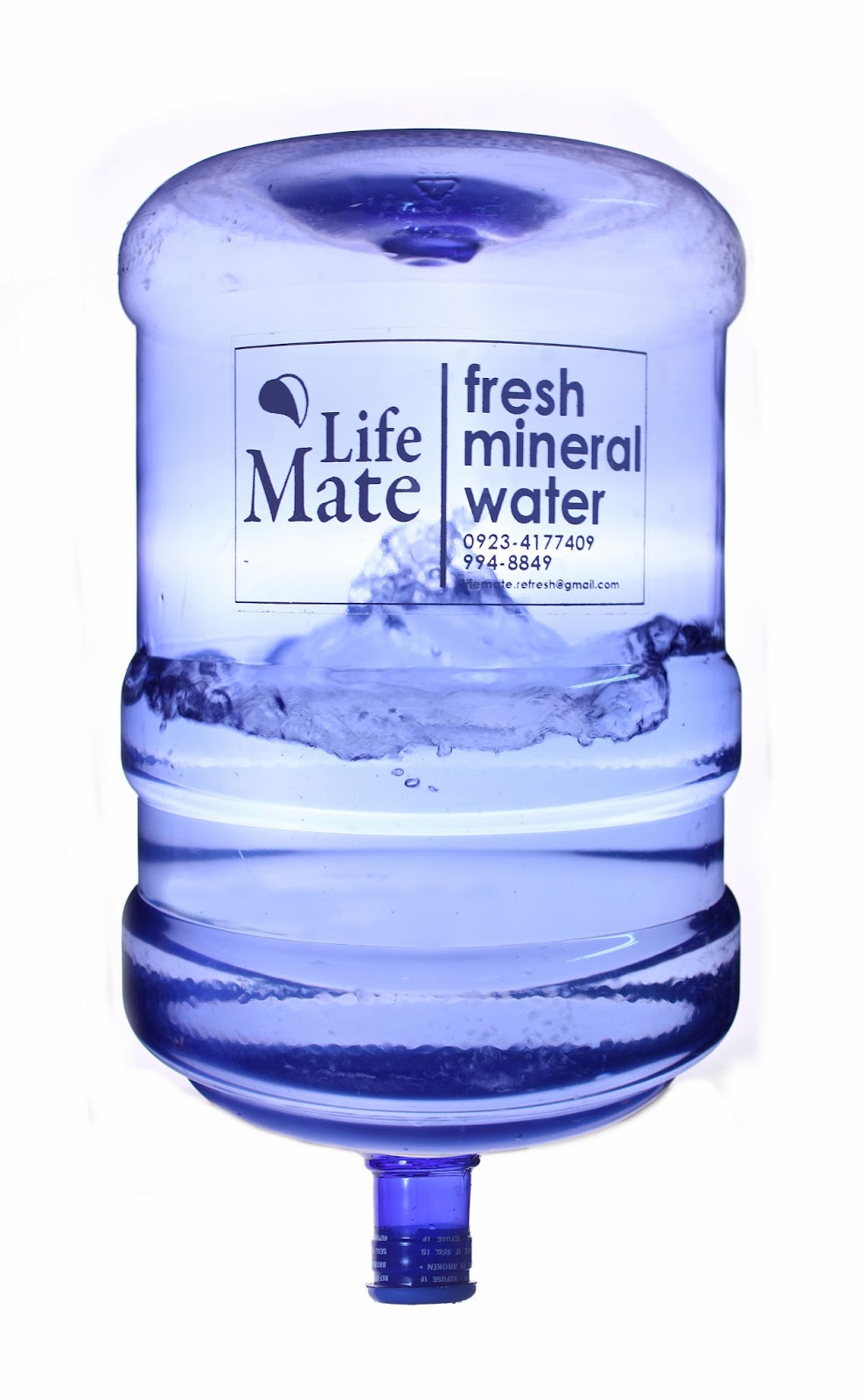 LifeMate: Products and Services