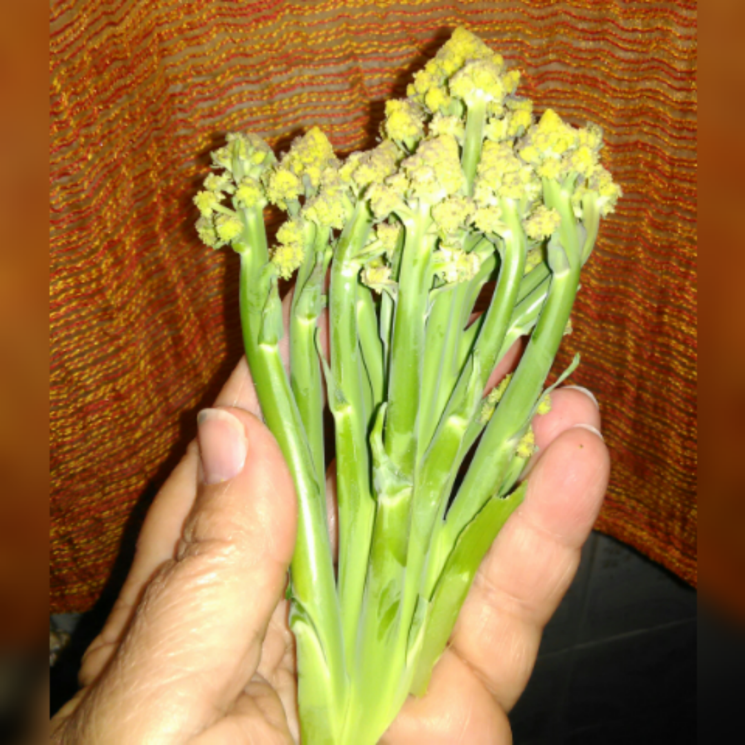 Os petiscos da Gracinha: Tarte ... de espigos!