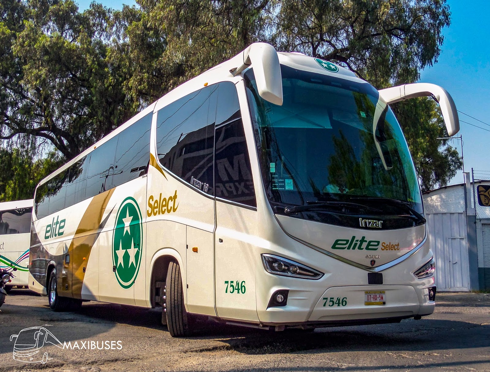 MAXIBUSES: ELITE SELECT