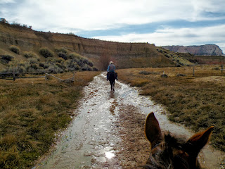 Dream Packer Trail Adventures: Deer Springs Ranch, Kanab, Utah