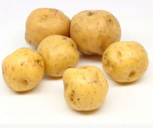 Variedades de Papa en el Perú | Productos Peruanos