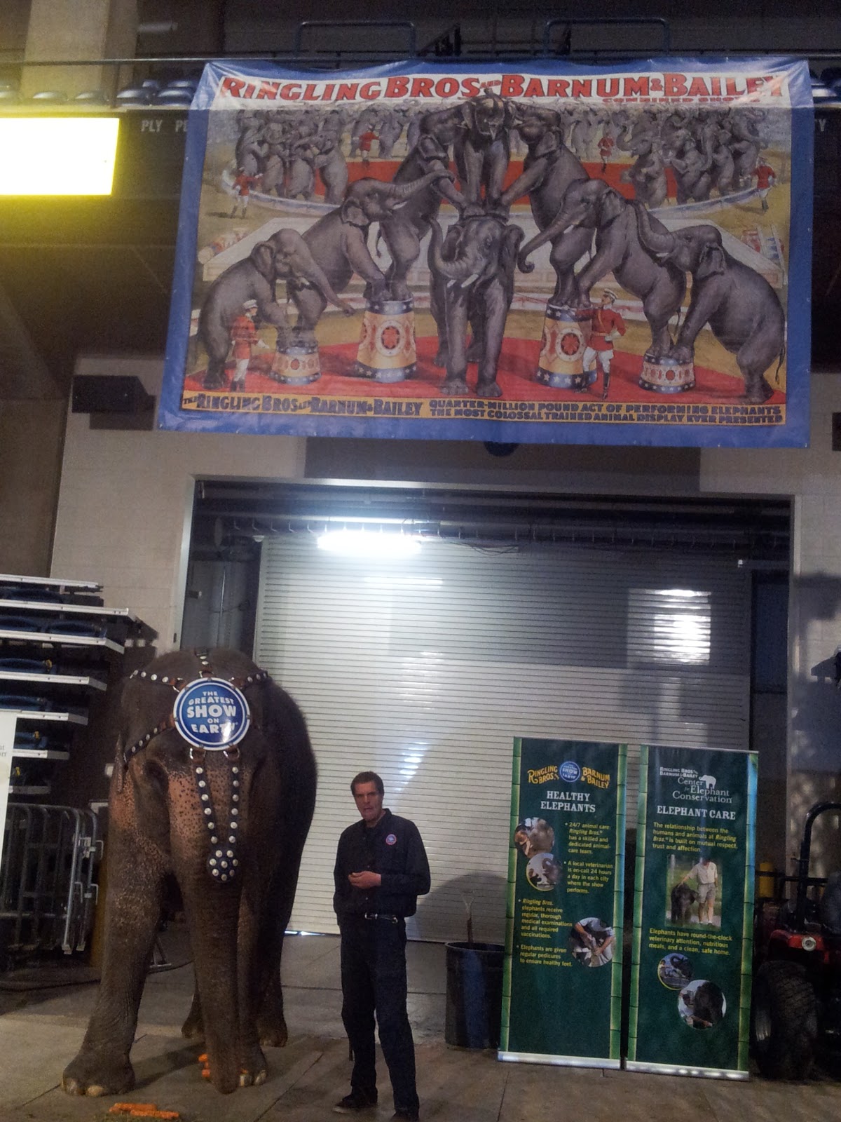Ringling Bros. & Barnum Bash Circus (3/11/12)