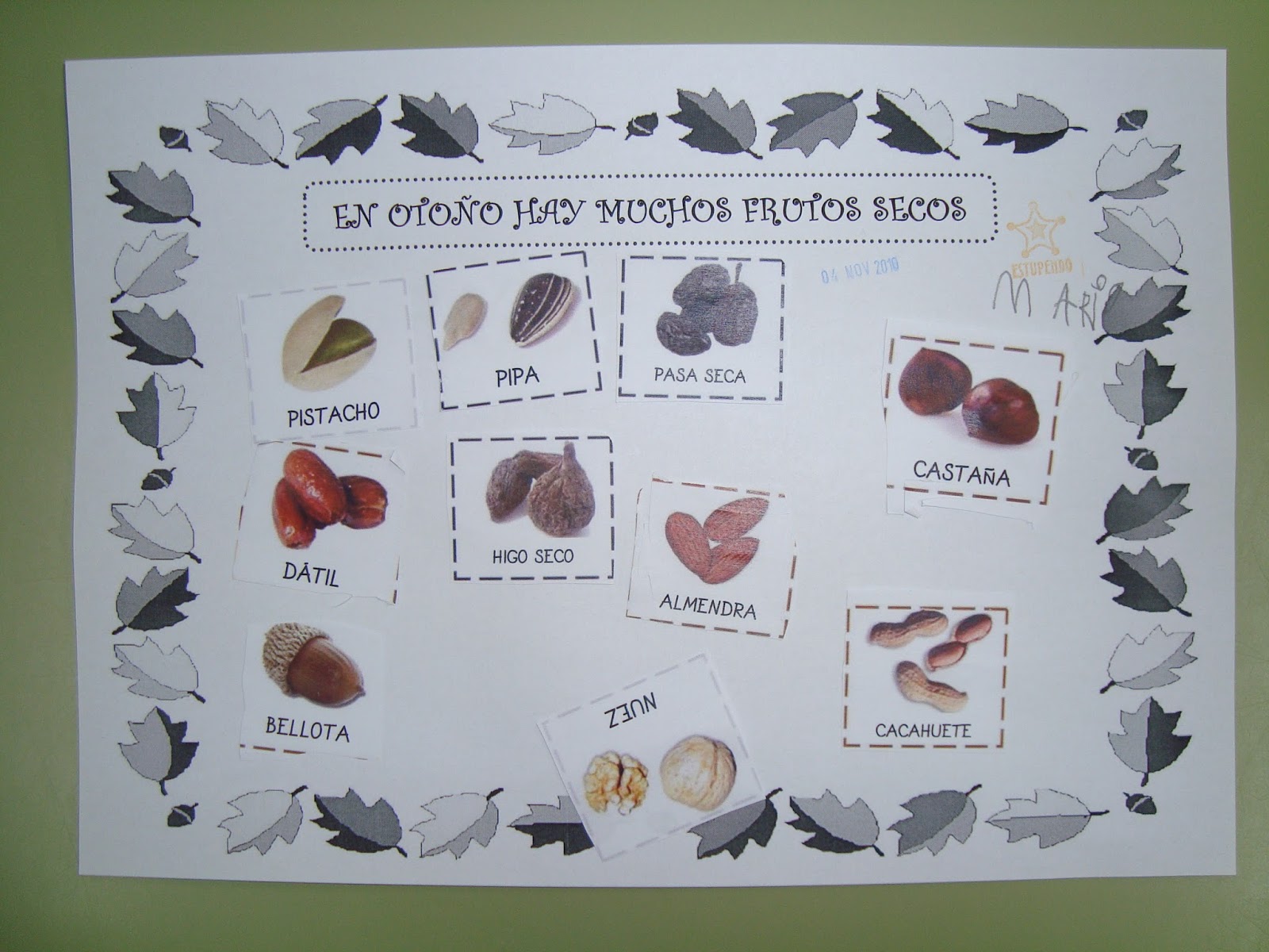 Frutos Secos Y Carnosos