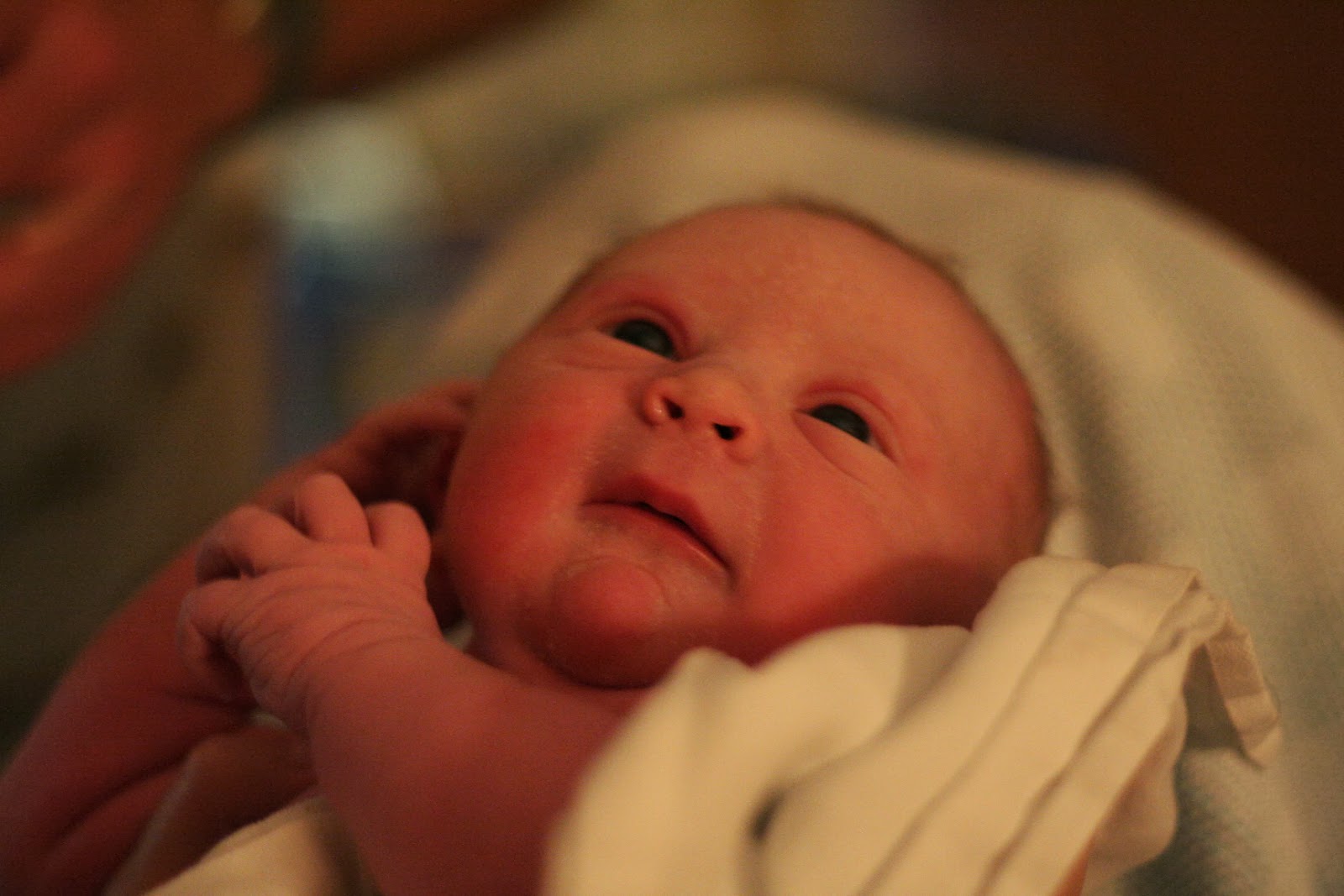 (she always loved) larking.: fly, little bird. // phoebe ruth