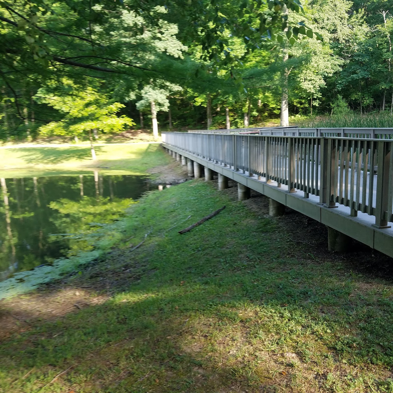 Play St. Louis: Westside Park, Fenton