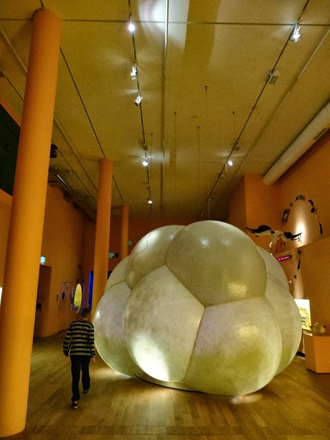 Jacques Huber and the Amazonian Botany: 2013