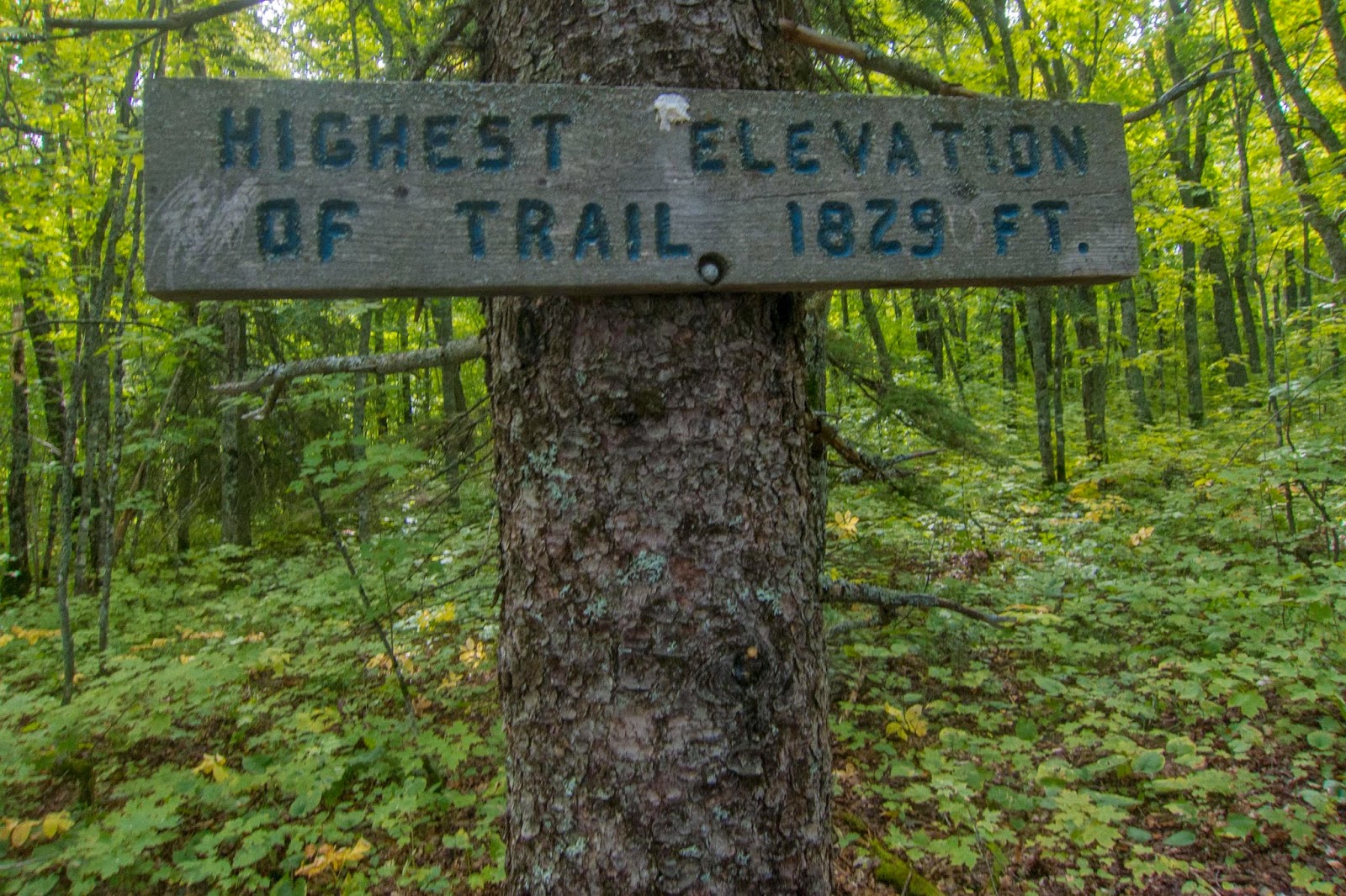 Eric's Hikes: Superior Hiking Trail: Grand Marais to 270 Degree Overlook