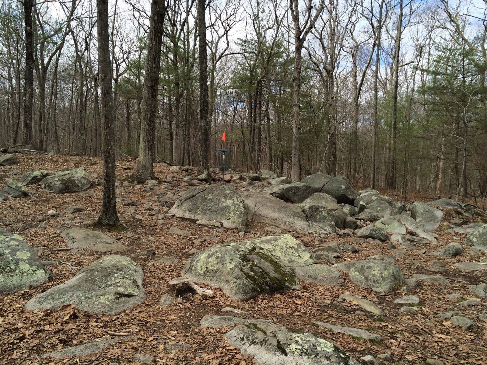 The Geology of Disc Golf: Borderlands State Park, Sharon MA