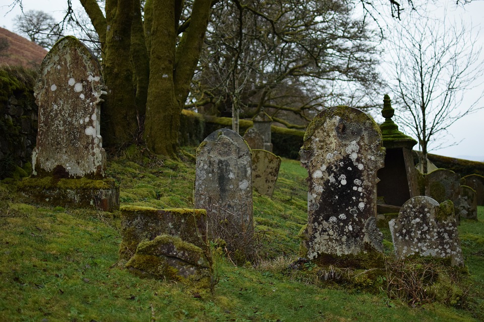 HEADLINES OF OLD: CEMETERIES - CONDEMNED, CURIOUS, CARED FOR... TROVE ...