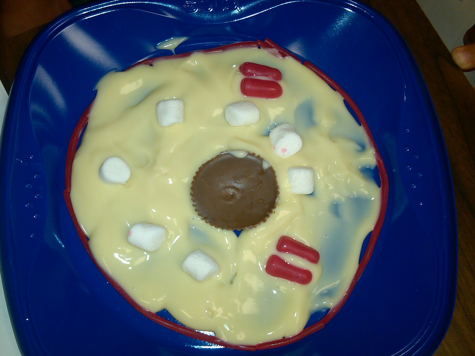 Mr. Boresi's Blog: Plant and Animal Cells