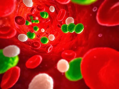 Medilab Speciality Laboratories: Bedside blood test to diagnose sepsis