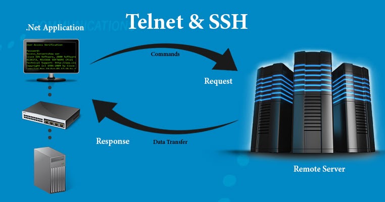 Essential Concepts - Network Protocols (Telnet and SSH) ~ The Hacker's Library