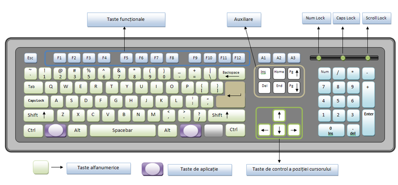 Bringing The Information : Tastatura