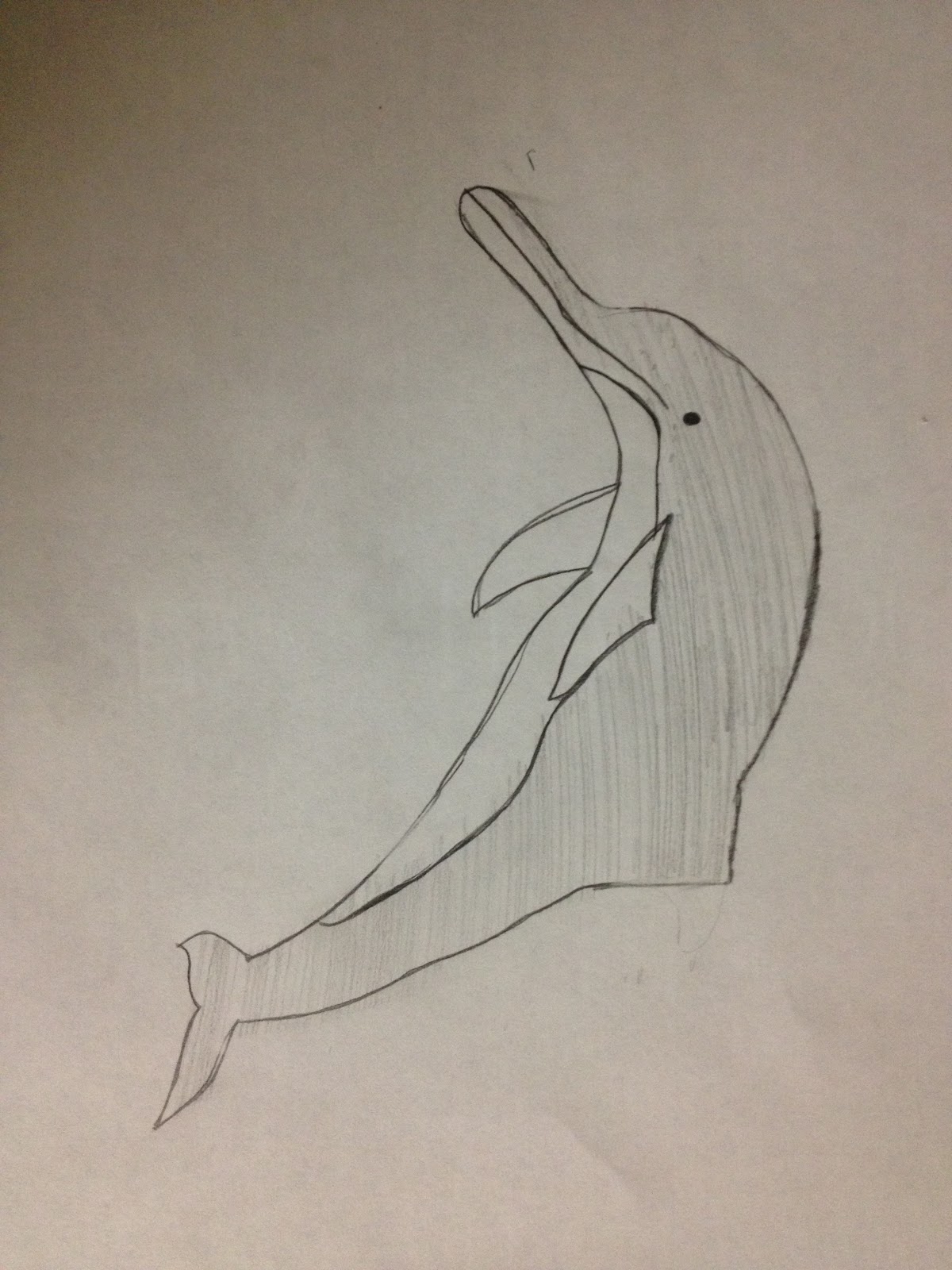 Baiji Dolphin | Wallpapers Gallery