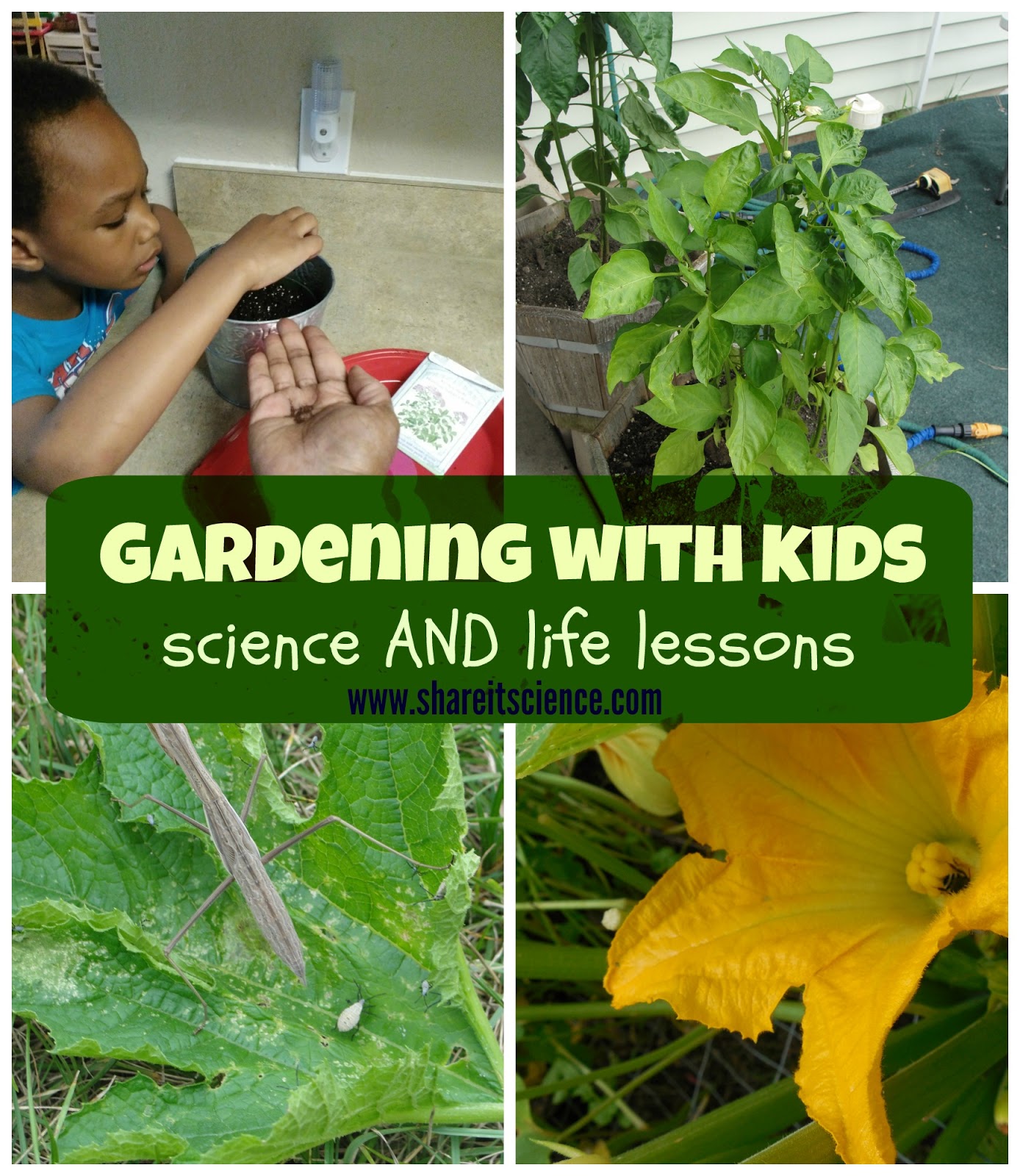 Share it! Science : Gardening with Children: Science Lessons, Life Lessons