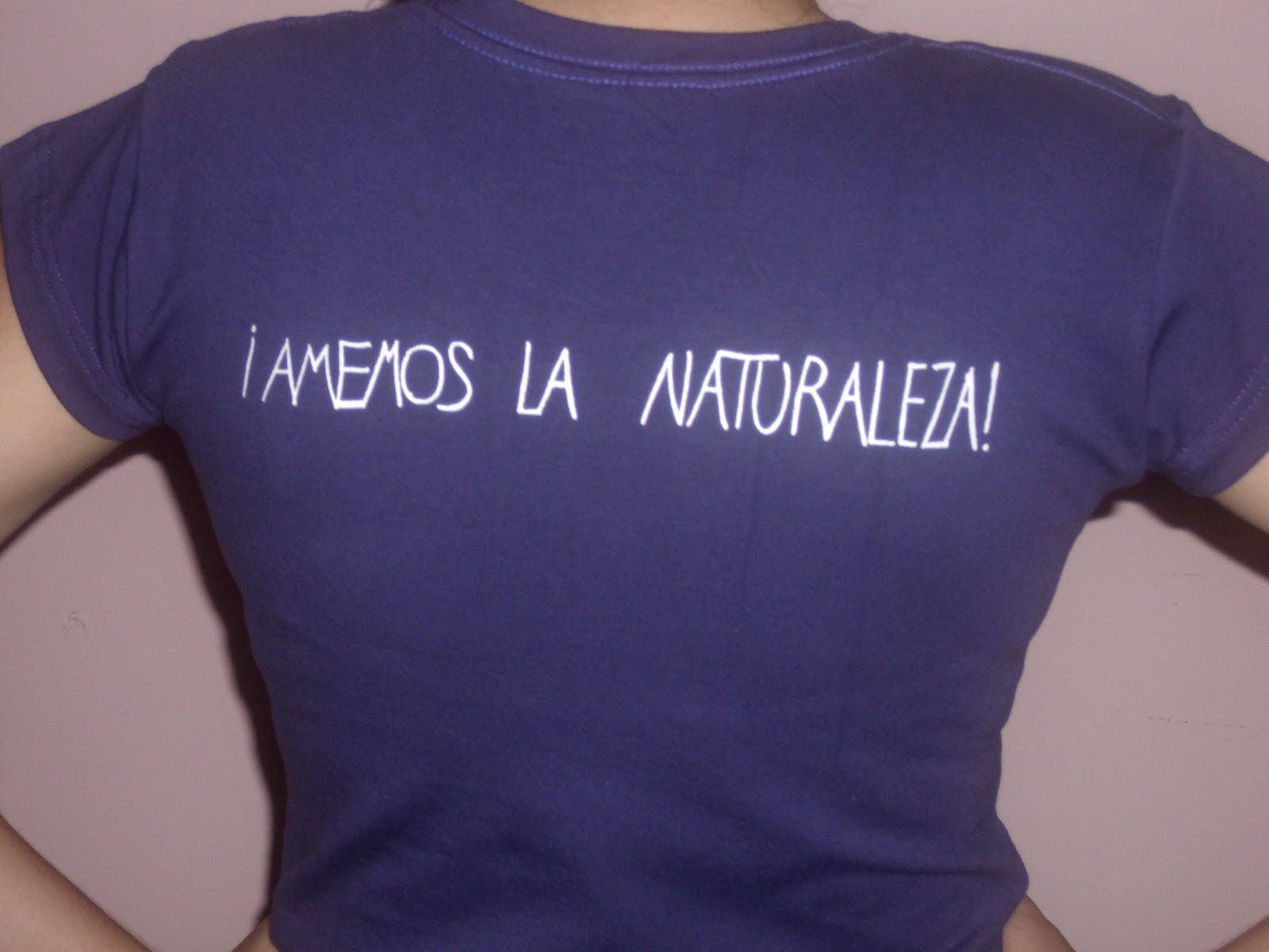 "EMMAGINACIÓN. Un Mundo Especial": Nuevas Ventas de Franelas. Diseños ...