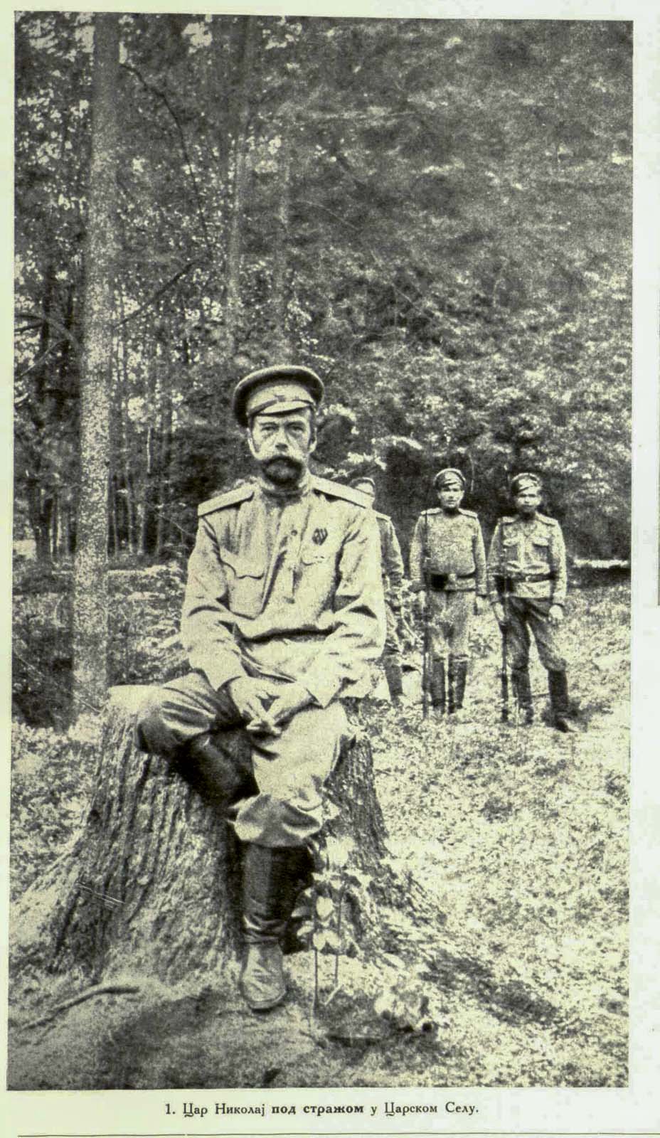 World War 1 And The Russian Revolution – Part 10 - The last days of the ...