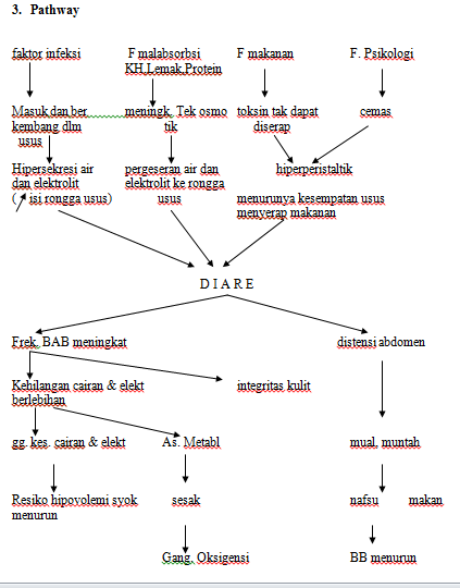 LAPORAN PENDAHULUAN : DIARE AKUT ~ Nurse Fadhil