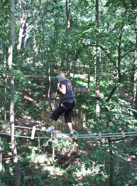 Ziplining and Treetop Exploration ~ Learn, Live, and Explore!