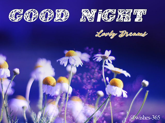Poetry and Worldwide Wishes: Good Night Images with Lovely Dreams and ...