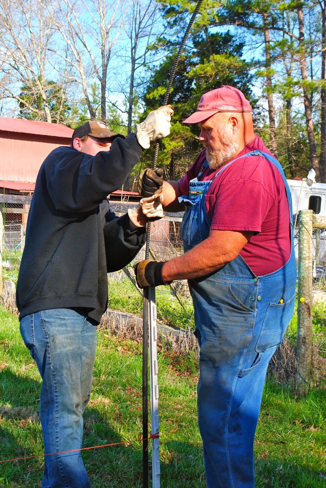 Adventures on Zephyr Hill Farm: DIY Rebar Grape Arbor