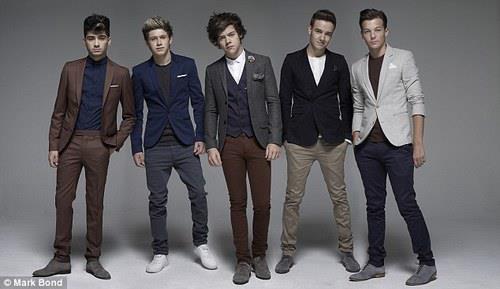 Everything About 1D Directioners