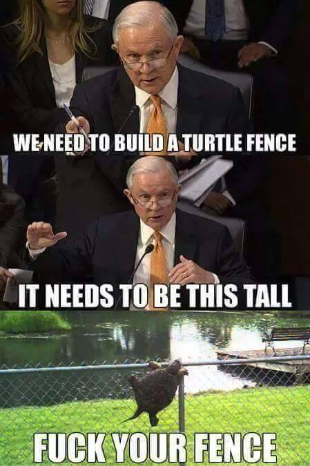 TOP 25 RANDOM PICTURES OF ALL TIME - Daily Funny Stuffs