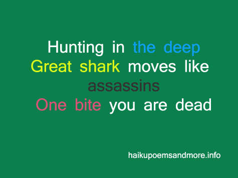 Haiku Poems About Animals (Underwater)