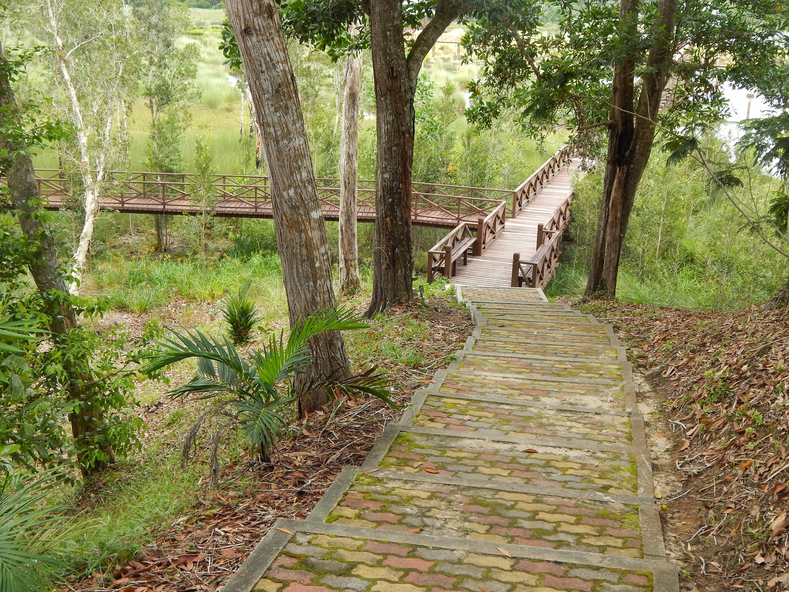 The Amazing place in BRUNEI DARUSSALAM : Luagan Lalak Labi,Kuala Belait