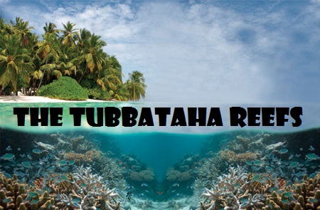 Thoughts to Promote Positive Action...: The Tubbataha Reefs