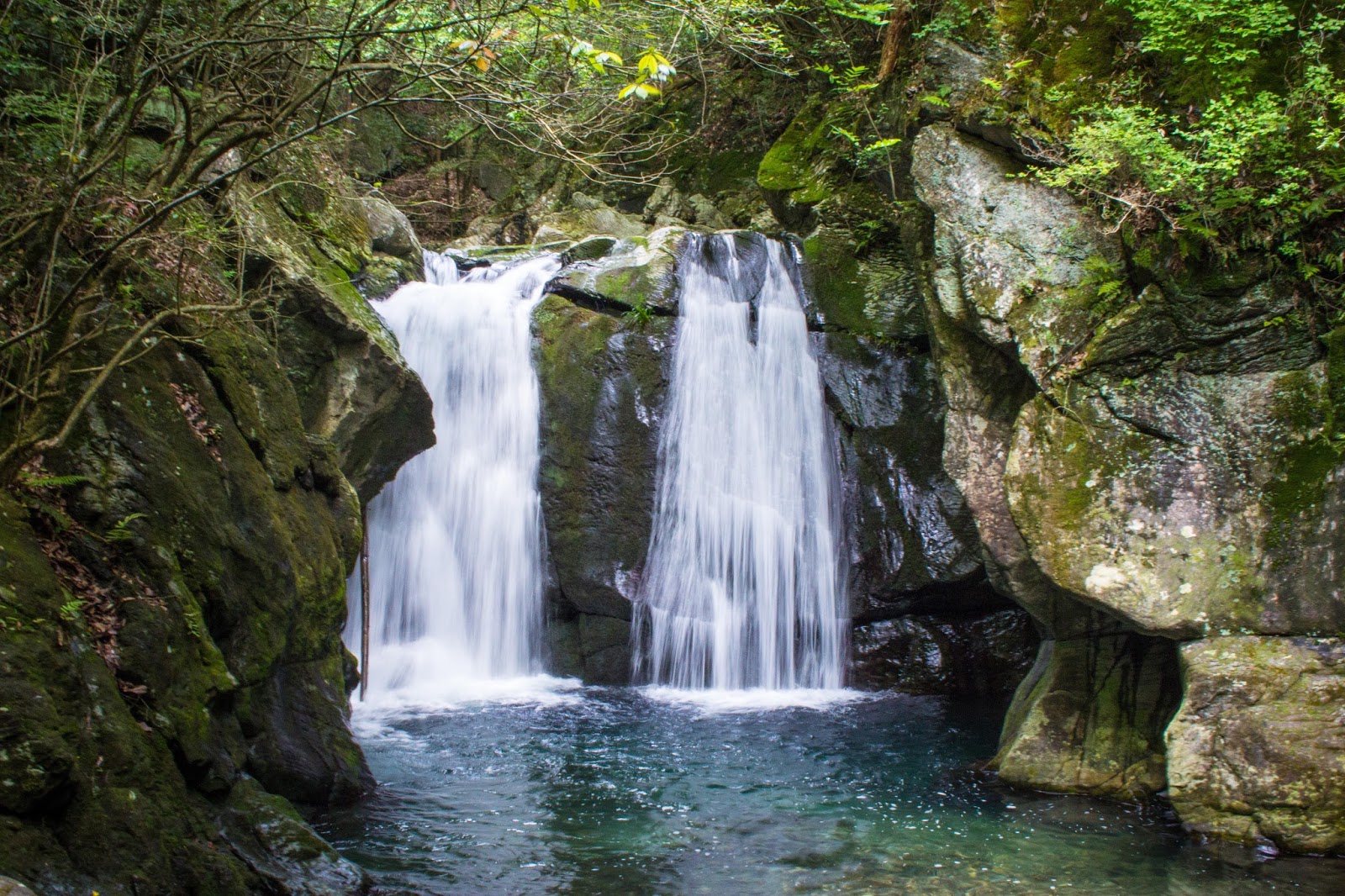 Tenaciously Yours, Jessica Guthrie: Three Falls... three boys... and a ...