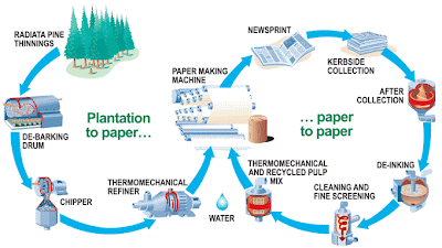 Focus Week 4: Paper: The benefits of recycling paper.