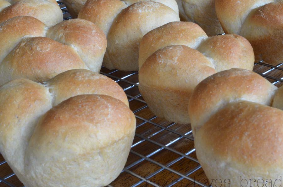 Frieda Loves Bread: Cloverleaf Dinner Rolls