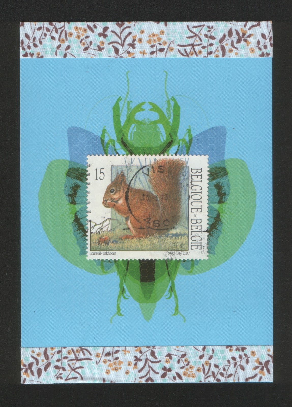 Squirrel Museum Cocoa Beach : Miche-Art-Universalis