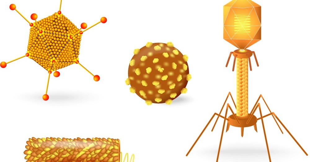 Prof - Renderson: Vírus e Suas Principais Características