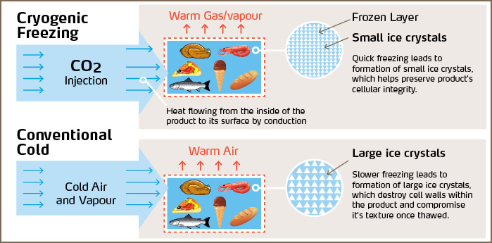 Chilling and Freezing: Freezing Methods