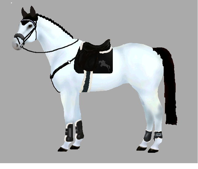 Snafflez ^.^: Nasza stajnia