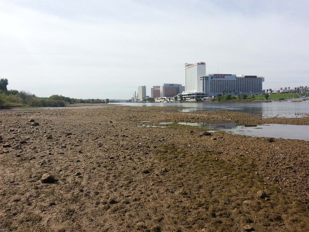 Laughlin Buzz: Colorado River Levels low this week in Laughlin, Nevada