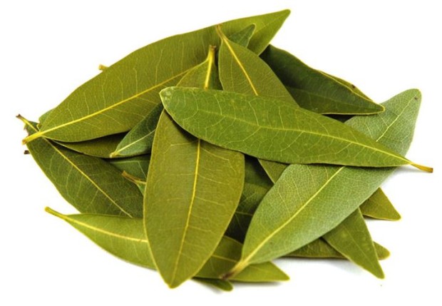 COMO DECIRTE ADIOS SI AUN TE AMO: Beneficios del las Hojas de Laurel