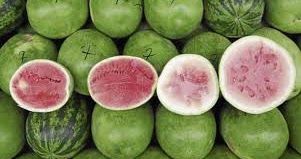 CONSULTOR AGRARIO: LA SAMDIA