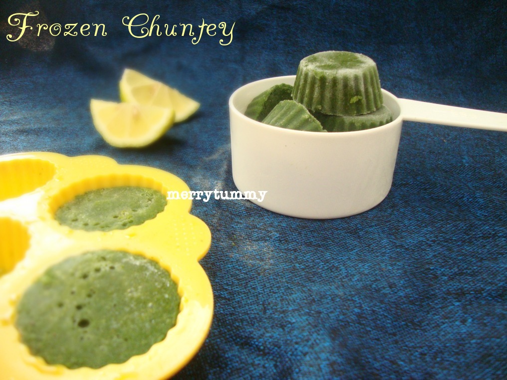 Merry Tummy: Tuesday's Tip- How To Store Green Chutney, Frozen Cubes