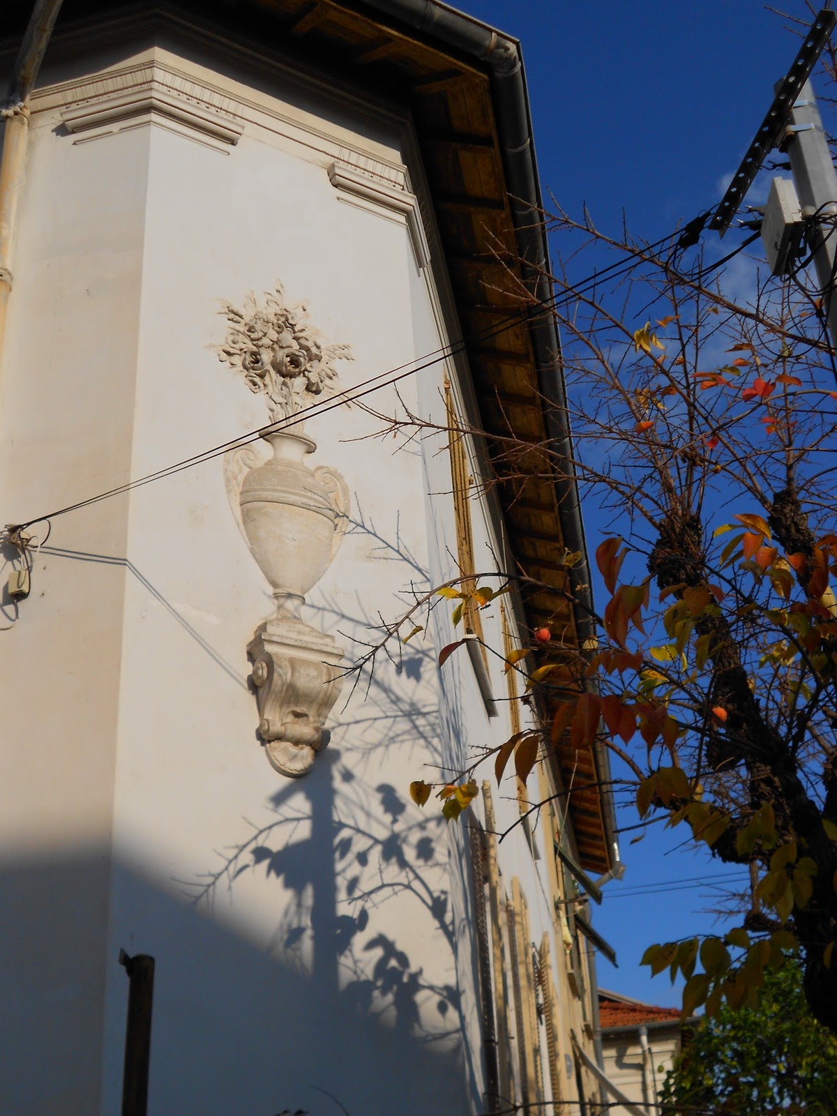 Lihtsa elu Liidi: November 2011